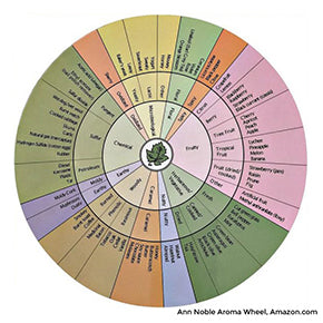The Aroma Wheel – TasterPlace
